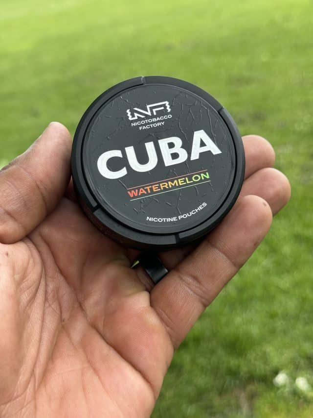 Pablo Snus Review 2025 – Honest Pablo Nicotine Pouches Review